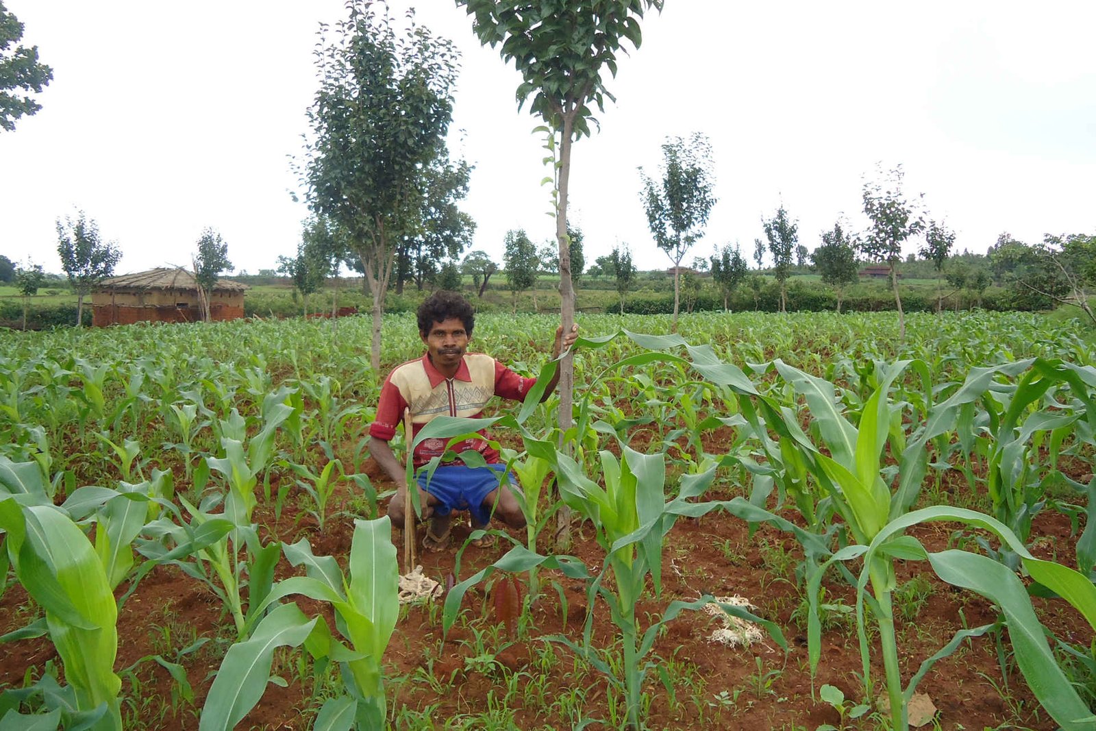 Rural Development – Empowering Villages for a Sustainable Future ...